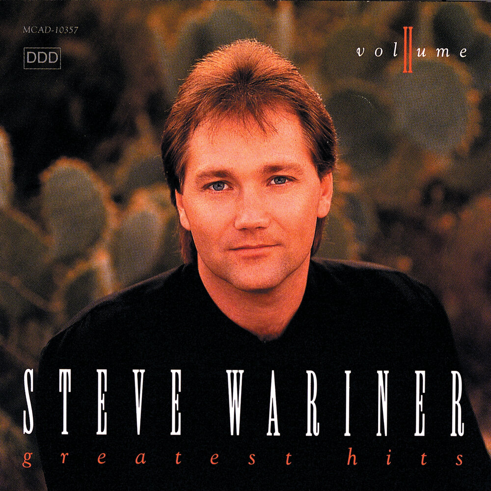 Steve Wariner - Some Fools Never Learn - Oldies MUSIC