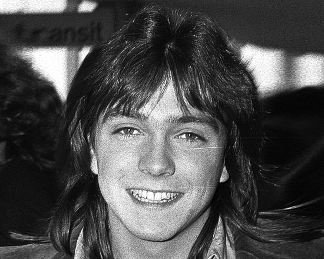 David Cassidy - I Woke Up In Love This Morning - Oldies MUSIC